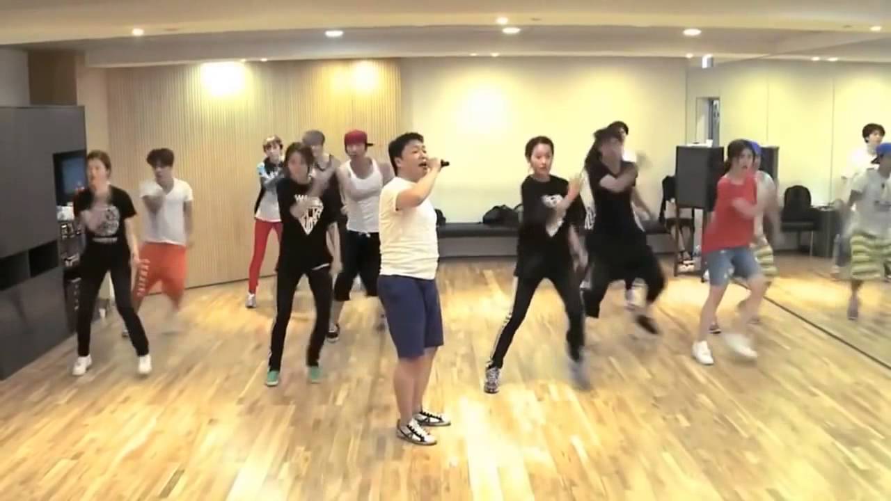 PSY Gangnam Style mirrored Dance Practice - YouTube