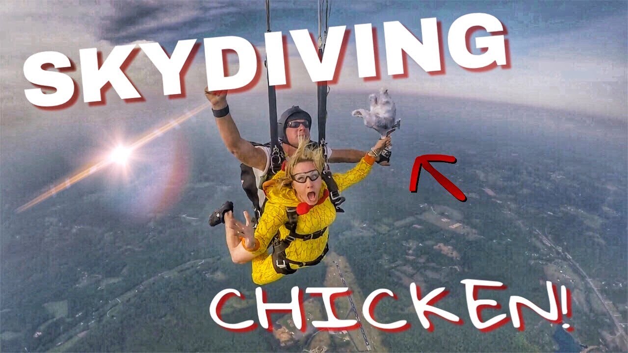 Live Chicken Skydiving! - The Adley Show - YouTube