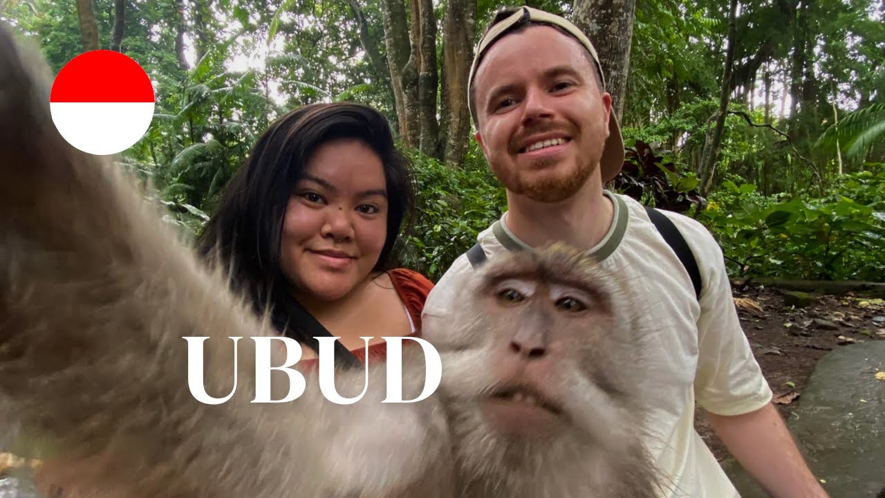 BALI 2023 | UBUD | MONKEY FOREST ATTACK, THE BEST WATERFALLS, WATER ...