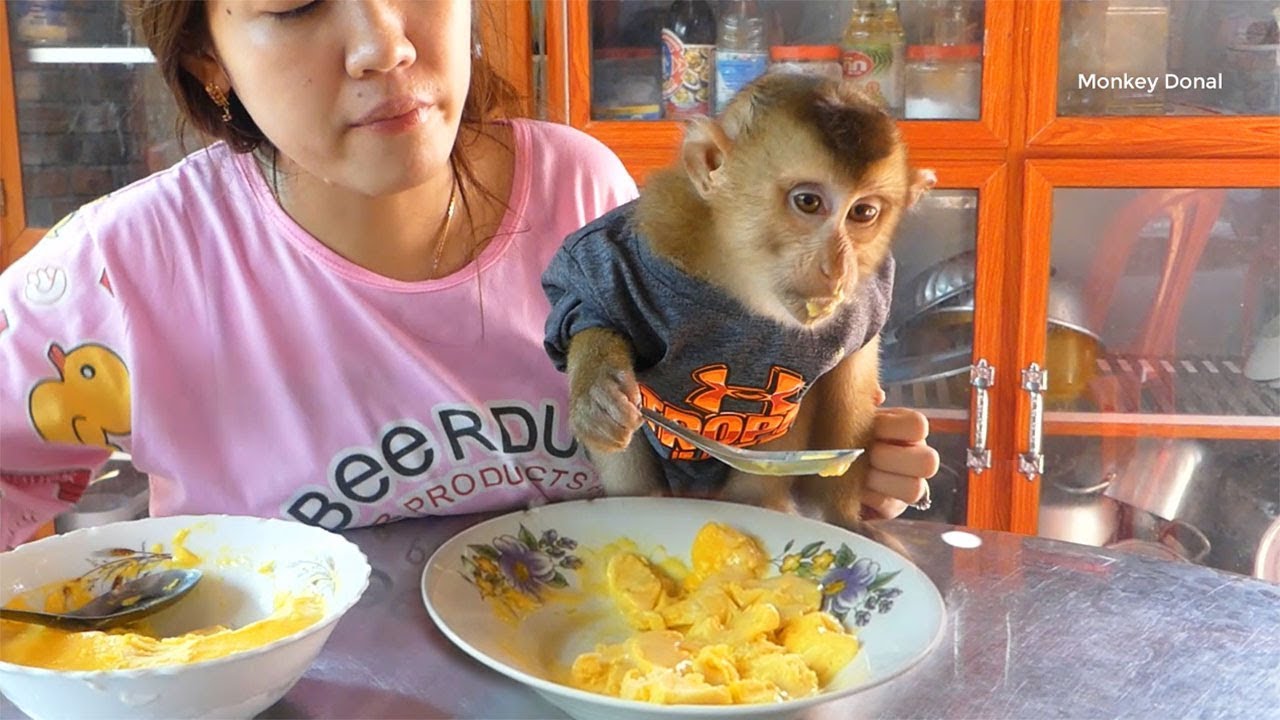 Mom Make Mango Ice Cream For Sweet Dodo, Dodo Like So Much - YouTube