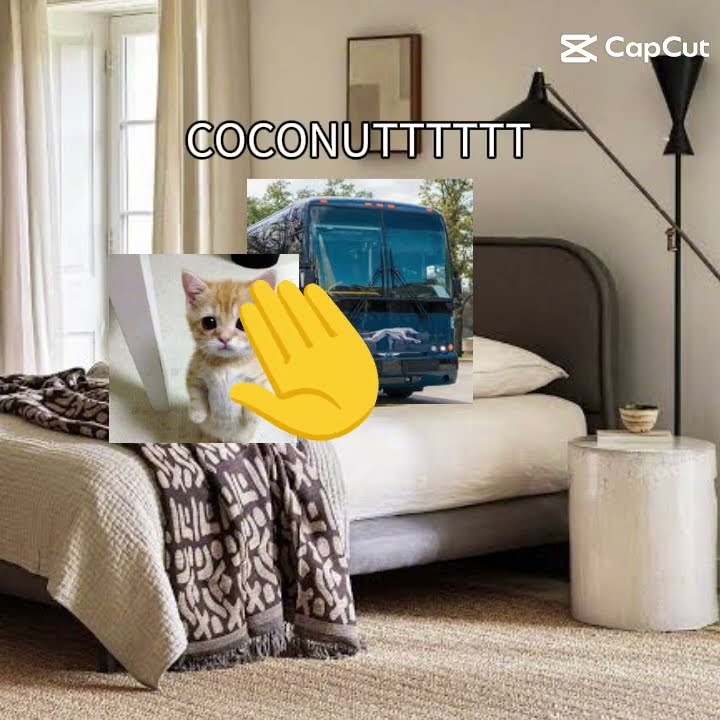 WAKE UP COCONUT - YouTube