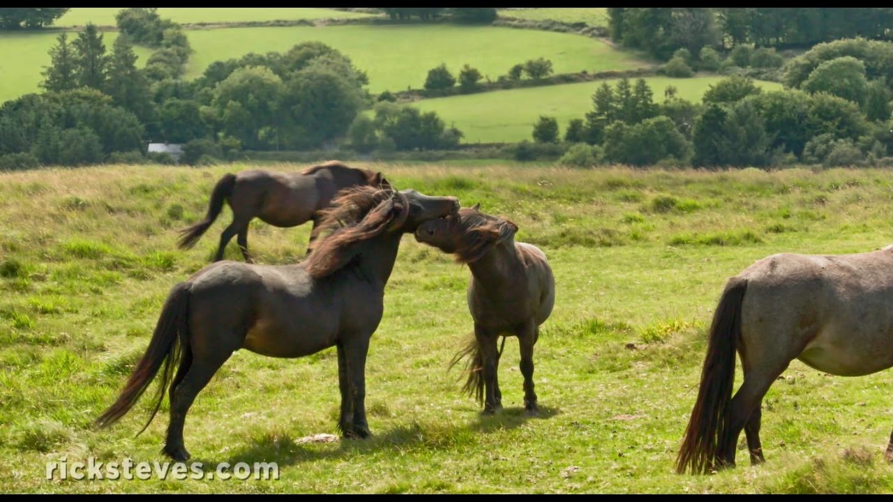 Dartmoor England Wild Horses And Stone Circles YouTube dartmoor-england-wild-horses-and-stone-circles-youtube