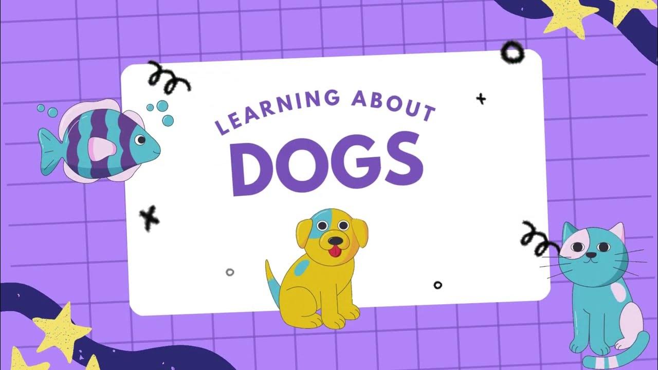 Dogs | Learning Some Facts About Dogs | Preschool Learning Video | Pets ...