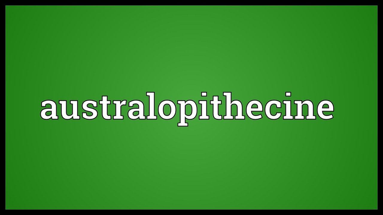 Australopithecine Meaning - YouTube