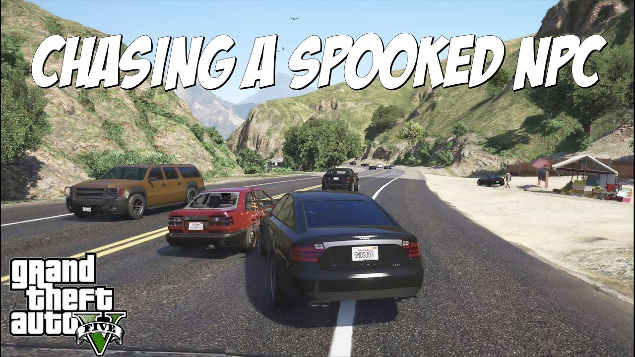 Chasing a spooked NPC driver | Just Driving in GTA V - YouTube