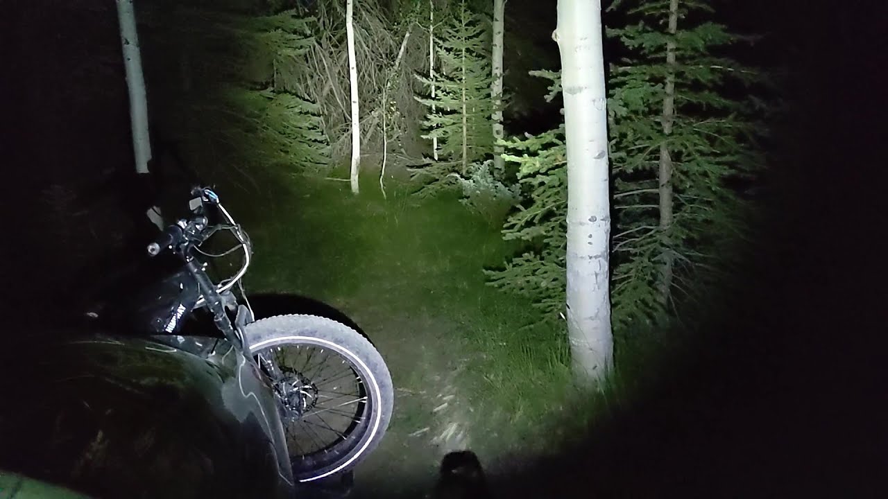 Night Provision TX11 - tactical Flash light. IS IT THAT GOOD !? - YouTube