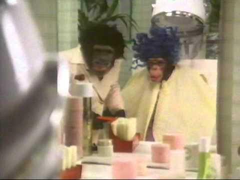 PG Tips Chimps 'Al B. Blowed' 1979.mp4 - YouTube