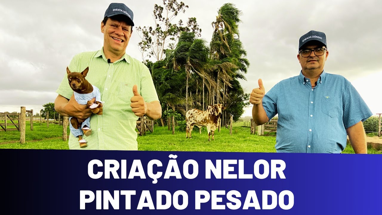 Criação Nelor Pintado Pesado - YouTube