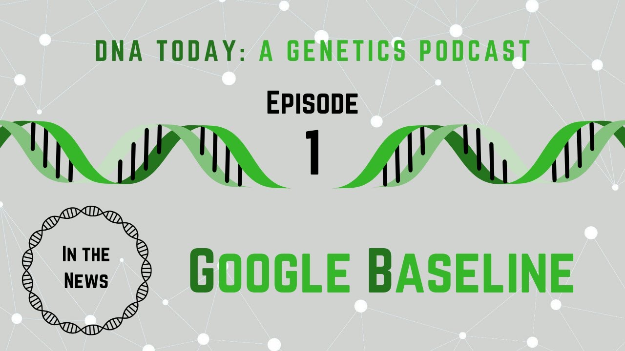 Google Baseline - YouTube