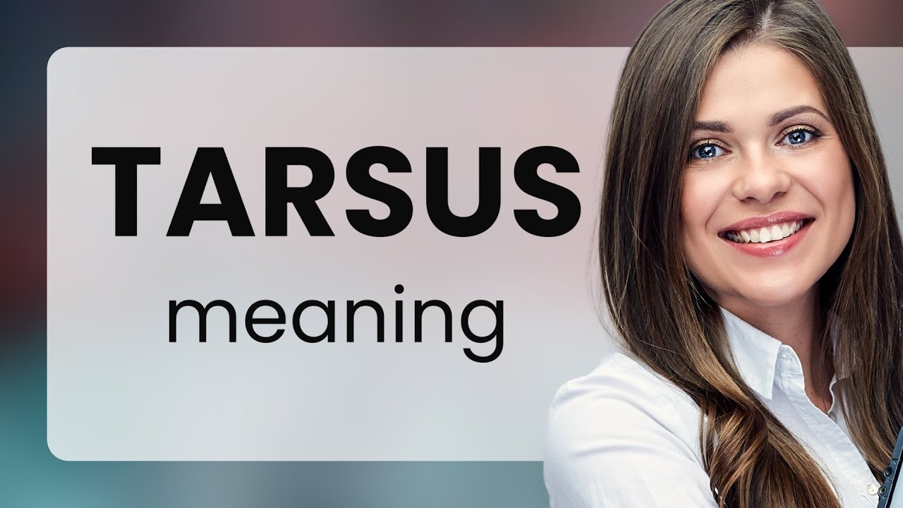 Tarsus | what is TARSUS meaning - YouTube