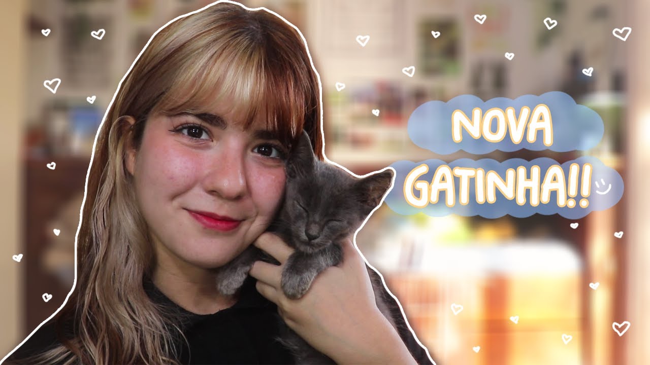ADOTAMOS MAIS UMA GATA!! aaaaaa - YouTube