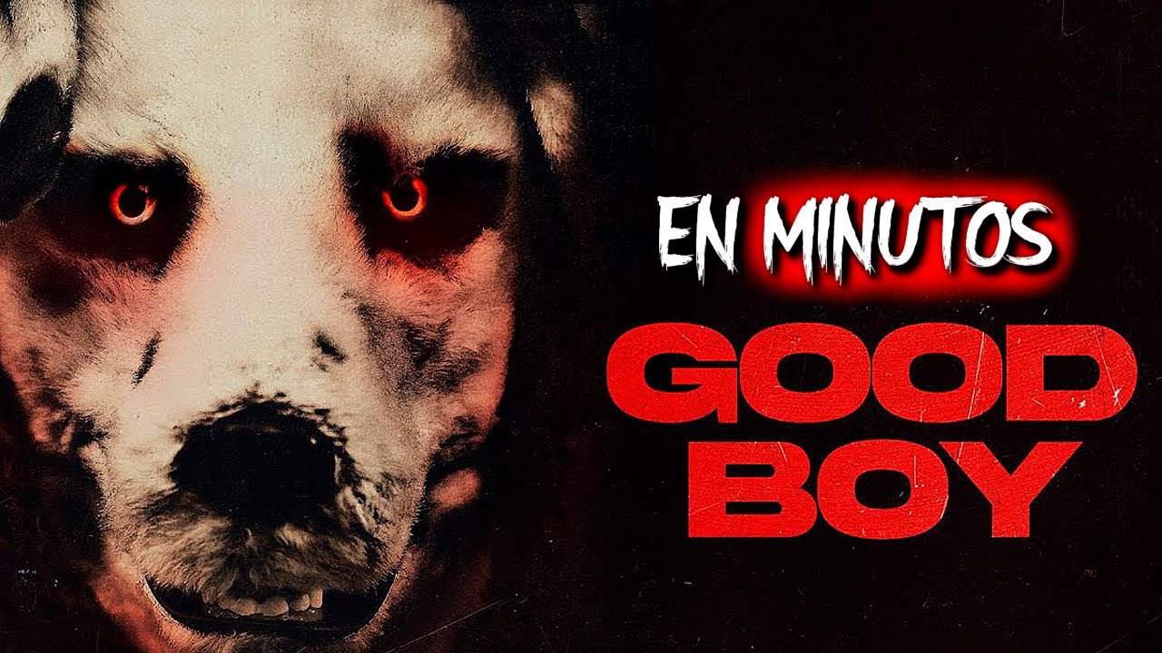 GOOD BOY: El Perro Humano - YouTube