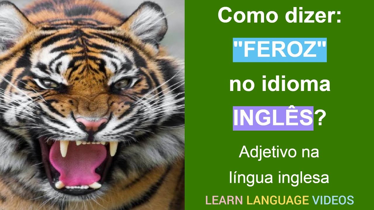 Como dizer: "FEROZ" no idioma INGLÊS? | Educação grátis | Aprender ...