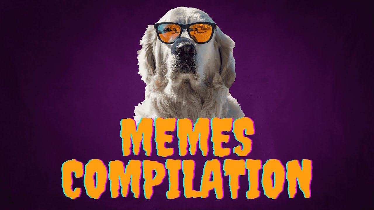 Bazoongas memes - Bazinga Meme - YouTube