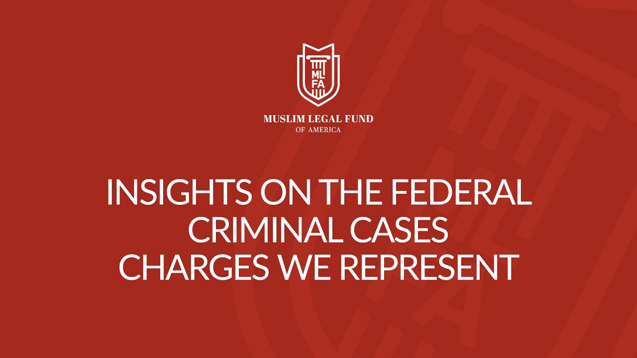 Insight's on the Federal Criminal Cases charges we represent at MLFA's ...