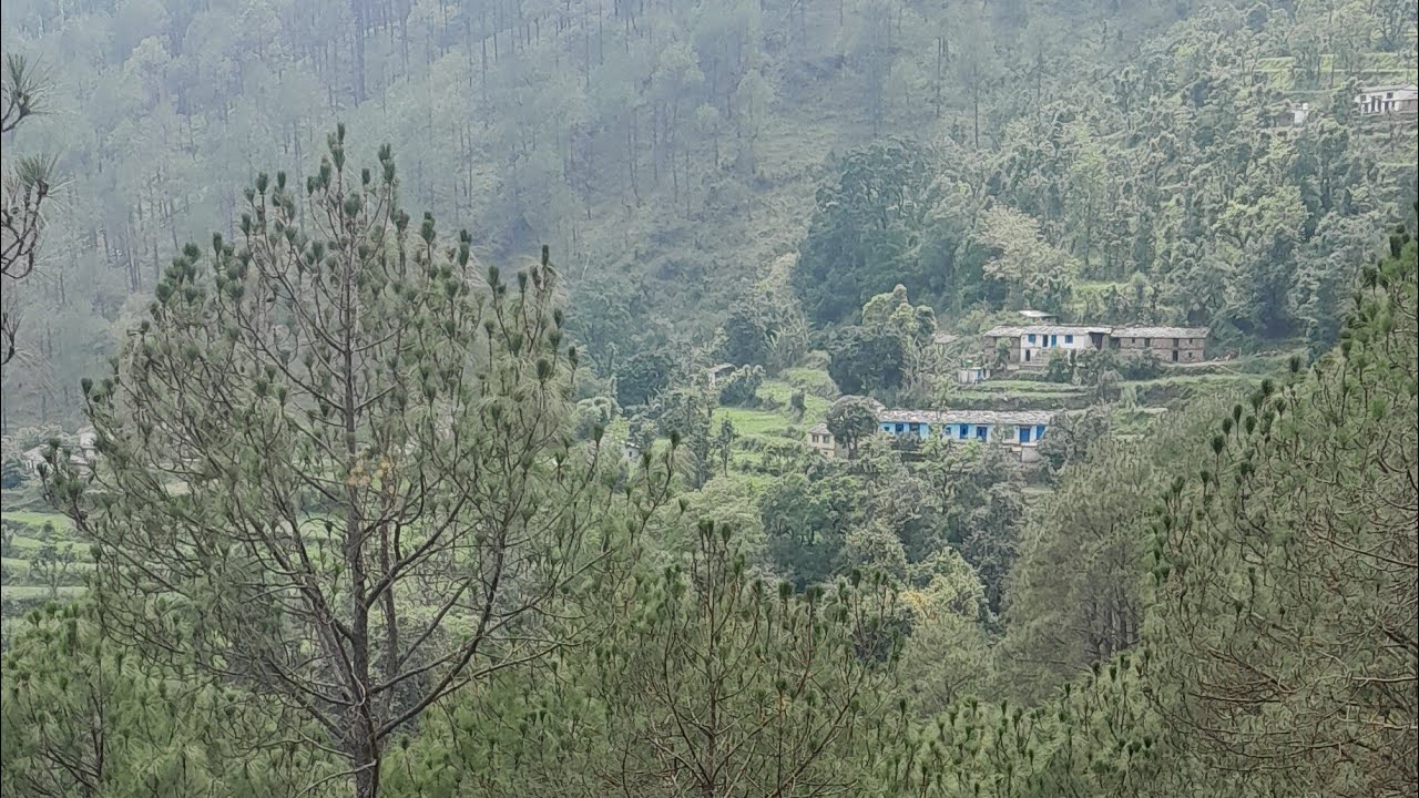 Village tour in almora uttarakhand 2023 - YouTube