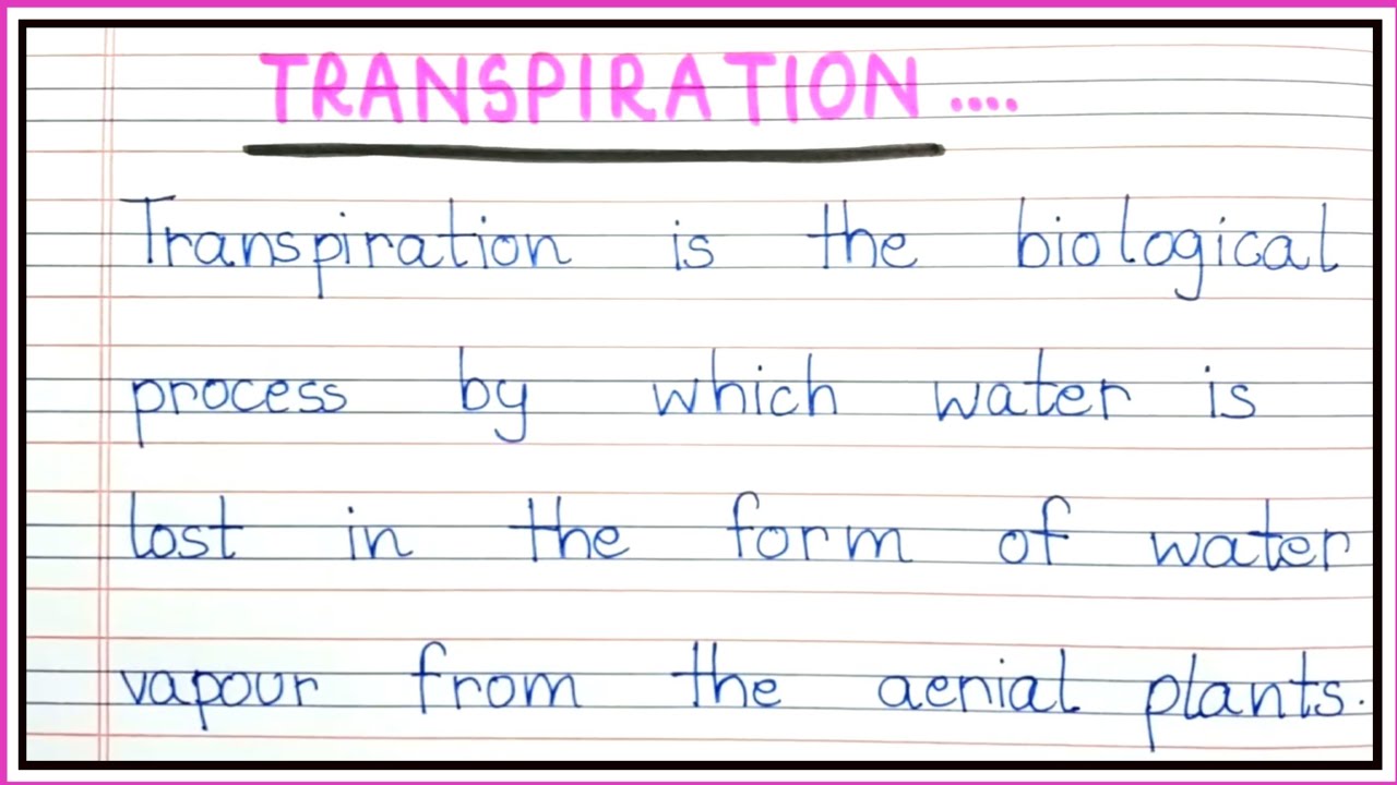 What is Transpiration? what is transpiration in plants/Define ...