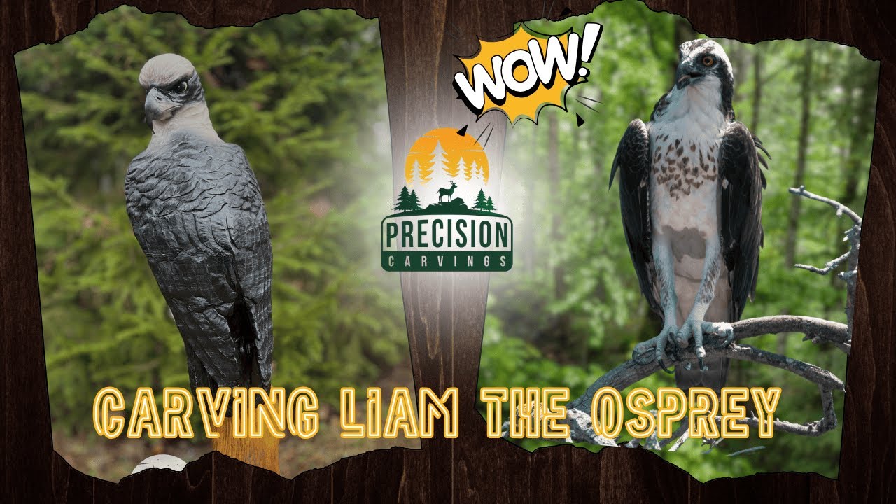 Chainsaw Carving a REALISTIC Osprey! - YouTube