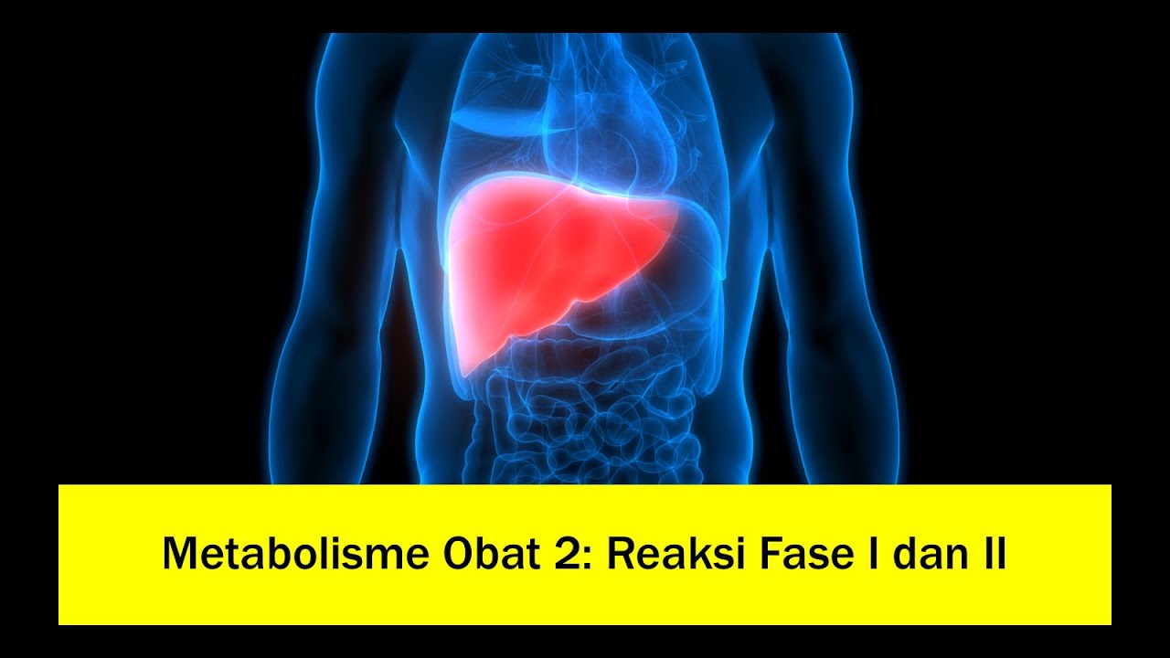 Metabolisme Obat 2: Reaksi Fase I dan II - YouTube