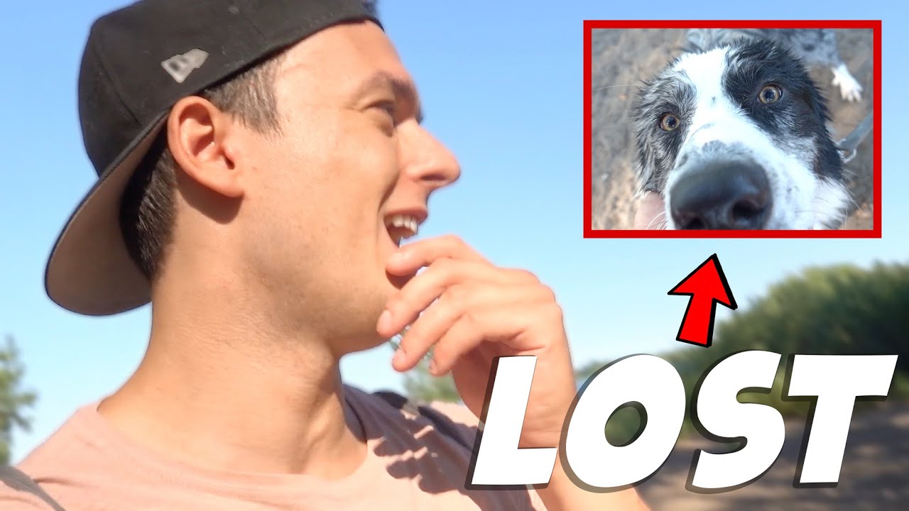 WE LOST OUR DOG | Vlog 3 | Blake McPherson - YouTube