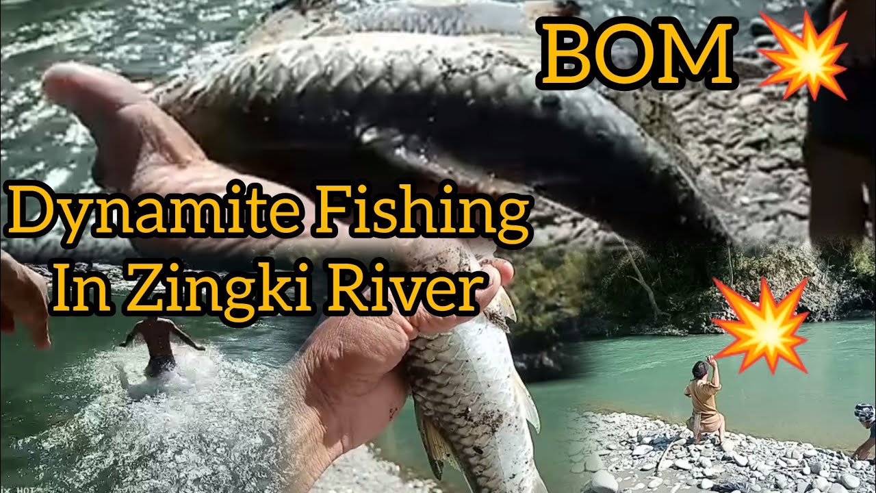 Dynamite Fishing In(Zingki River)💥 - YouTube