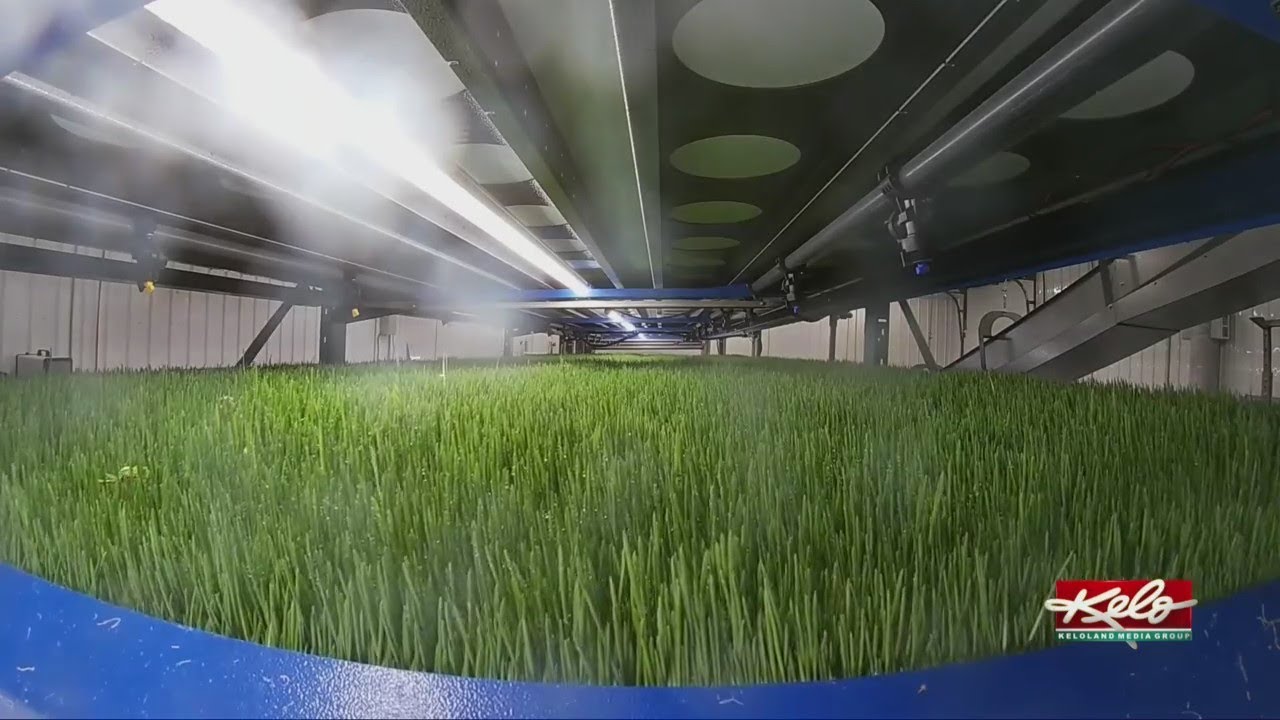 HydroGreen continues to grow with the opening of a new 21,000 square ft ...