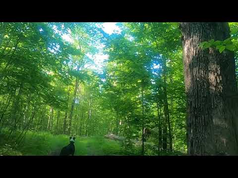 pootatuck state park - YouTube