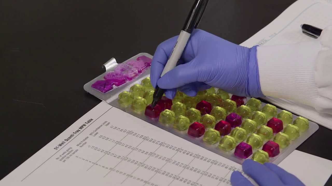 Colisure: User's Guide - YouTube