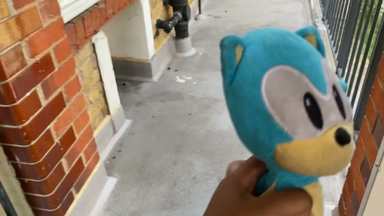 Is sonic lonely? - YouTube