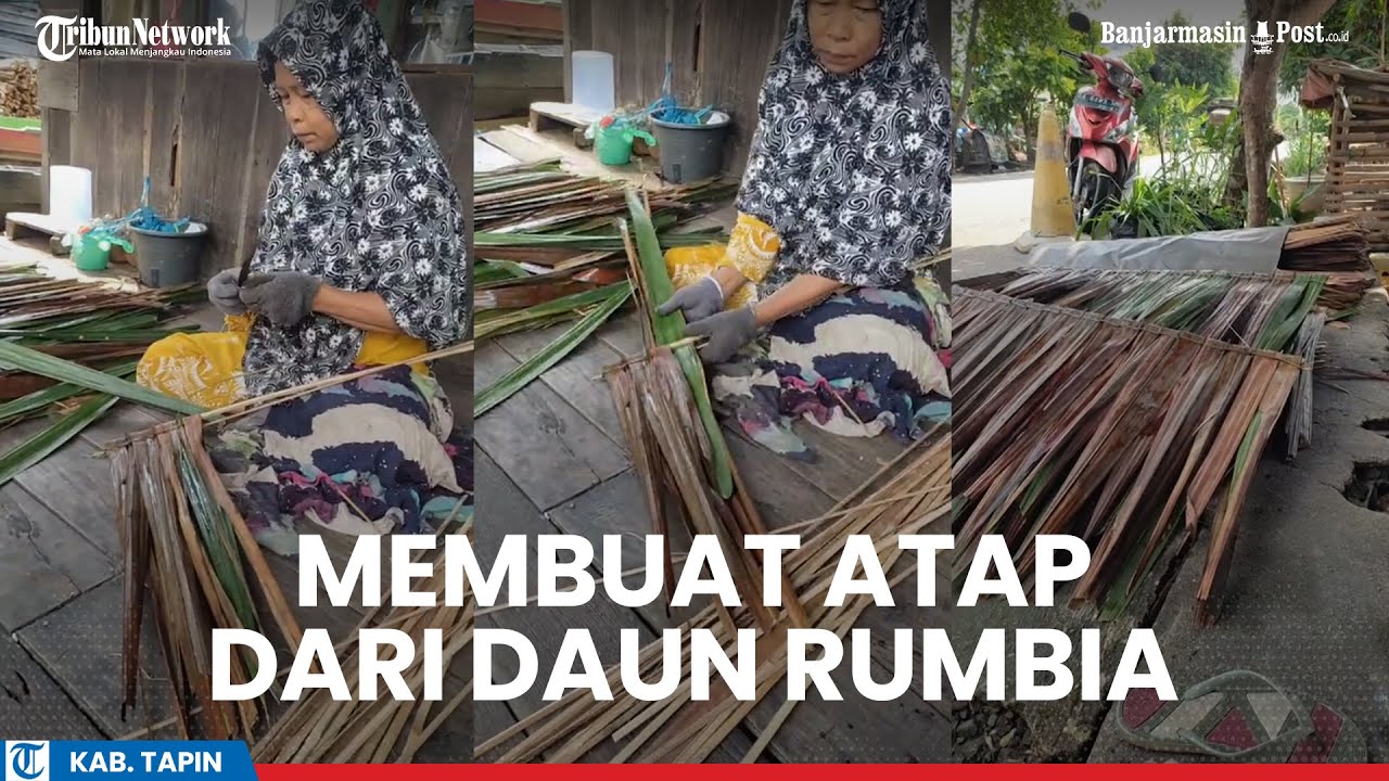 Mahambit, Aktivitas Membuat Atap dari Daun Rumbia - YouTube
