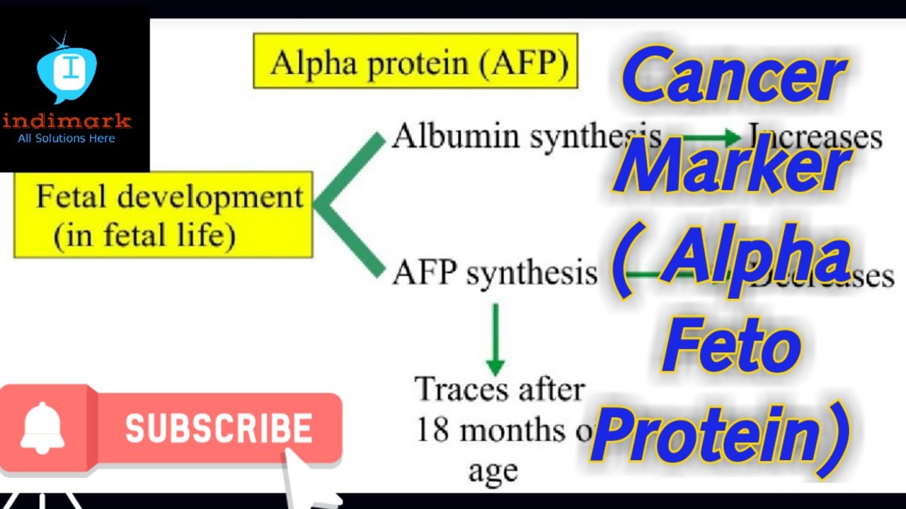 Cancer Marker / Alpha Feto Protein #indimark #medfacts - YouTube