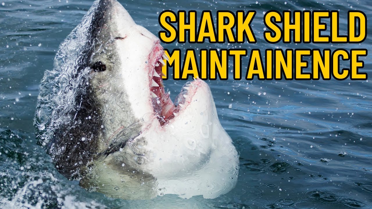 How to care for your SHARK SHIELD - YouTube