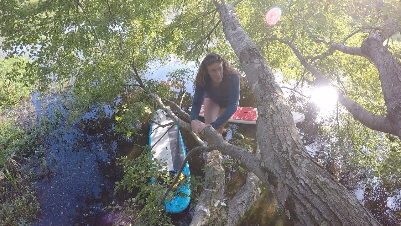 Paddling to My Favorite Tree - YouTube