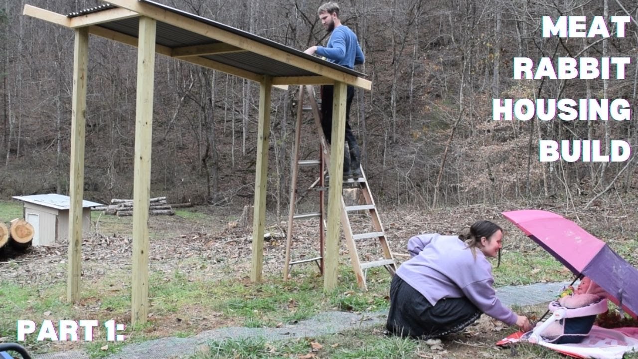 Raising Meat Rabbits: Elevated cage system build ! - YouTube