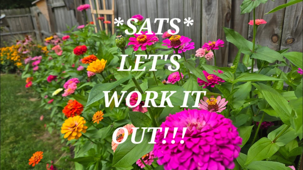 *SATS*... LET'S WORK IT OUT FRIENDS!!! 8-24-24 🇺🇸 LILLEYBUGGLANE 🇺🇸 ...