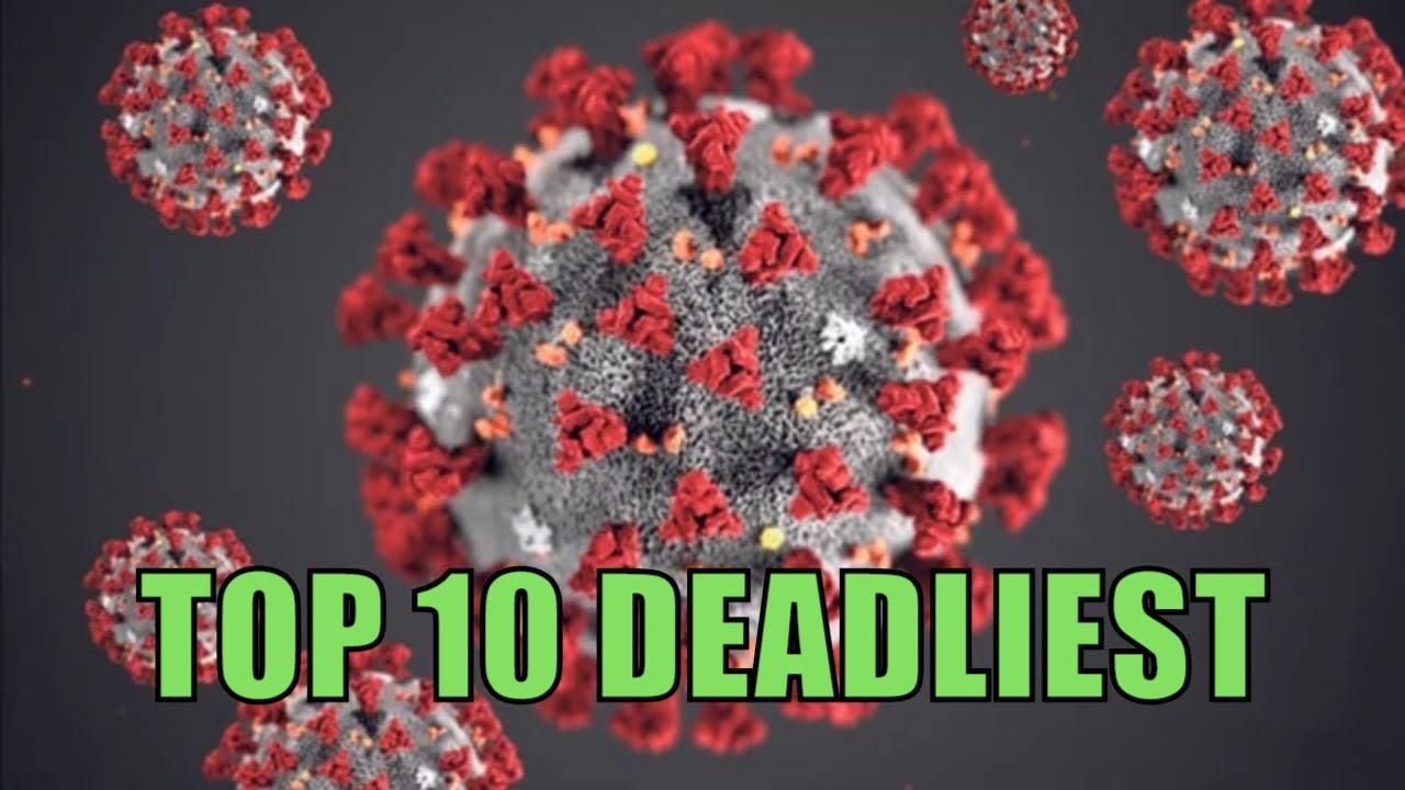 Top 10 Deadliest Viruses On Earth YouTube top-10-deadliest-viruses-on-earth-youtube