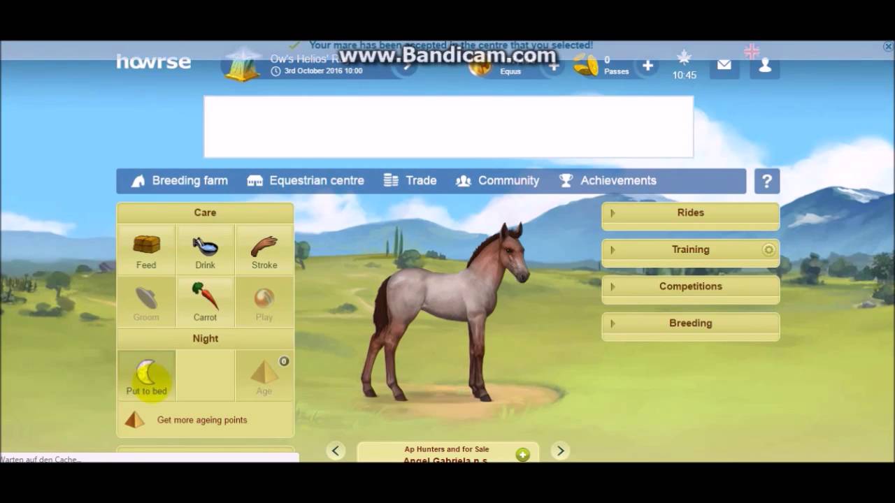 Howrse.co.uk # 3 Reitzentrum-Änderungen - YouTube