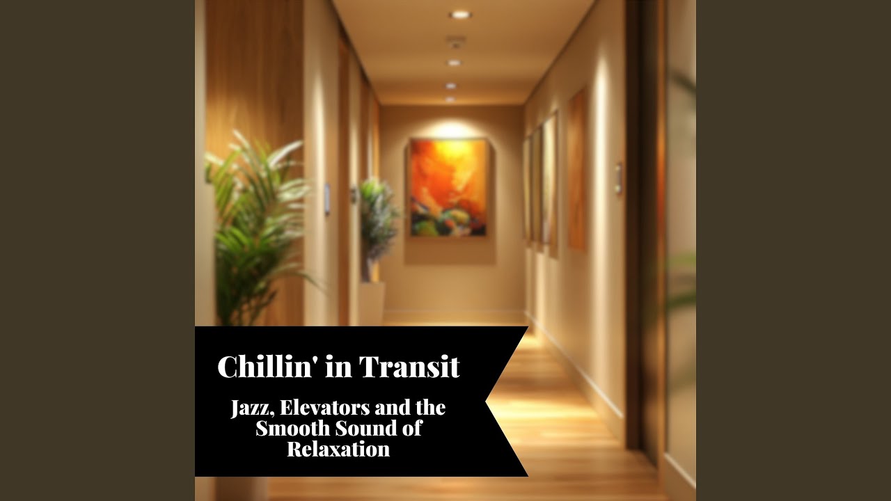 Relaxing Elevator Vibes - YouTube