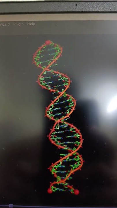 Pymol DNA Animation - YouTube