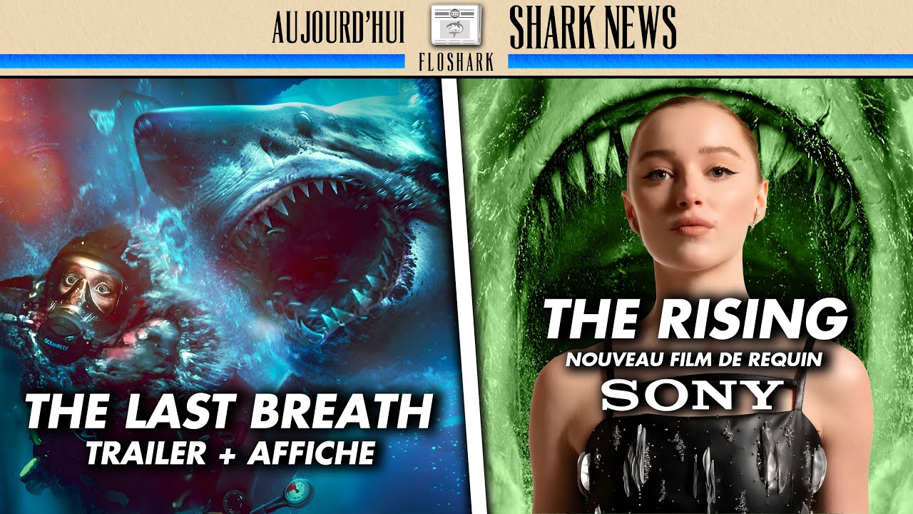 SHARK NEWS - Trailer & affiche pour THE LAST BREATH, nouveau film de ...