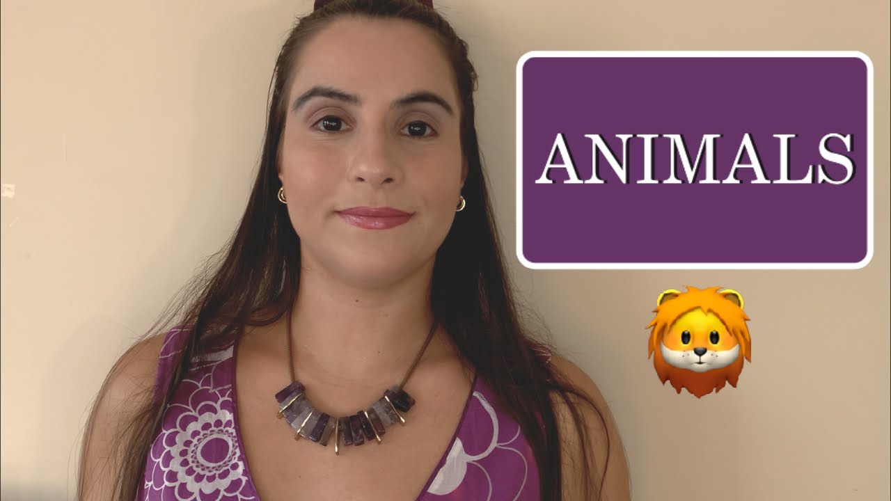 Animals in English - Lesson 7 - YouTube