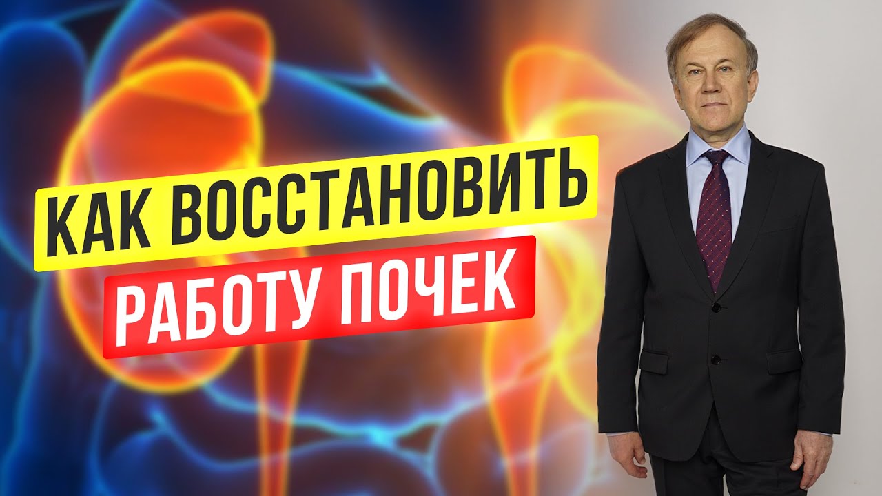 Как восстановить работу почек в домашних условиях Из за чего болят