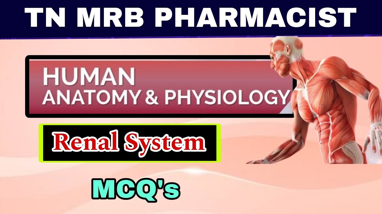 Renal system/Revision MCQs|Previous question paper with answer|MRB ...
