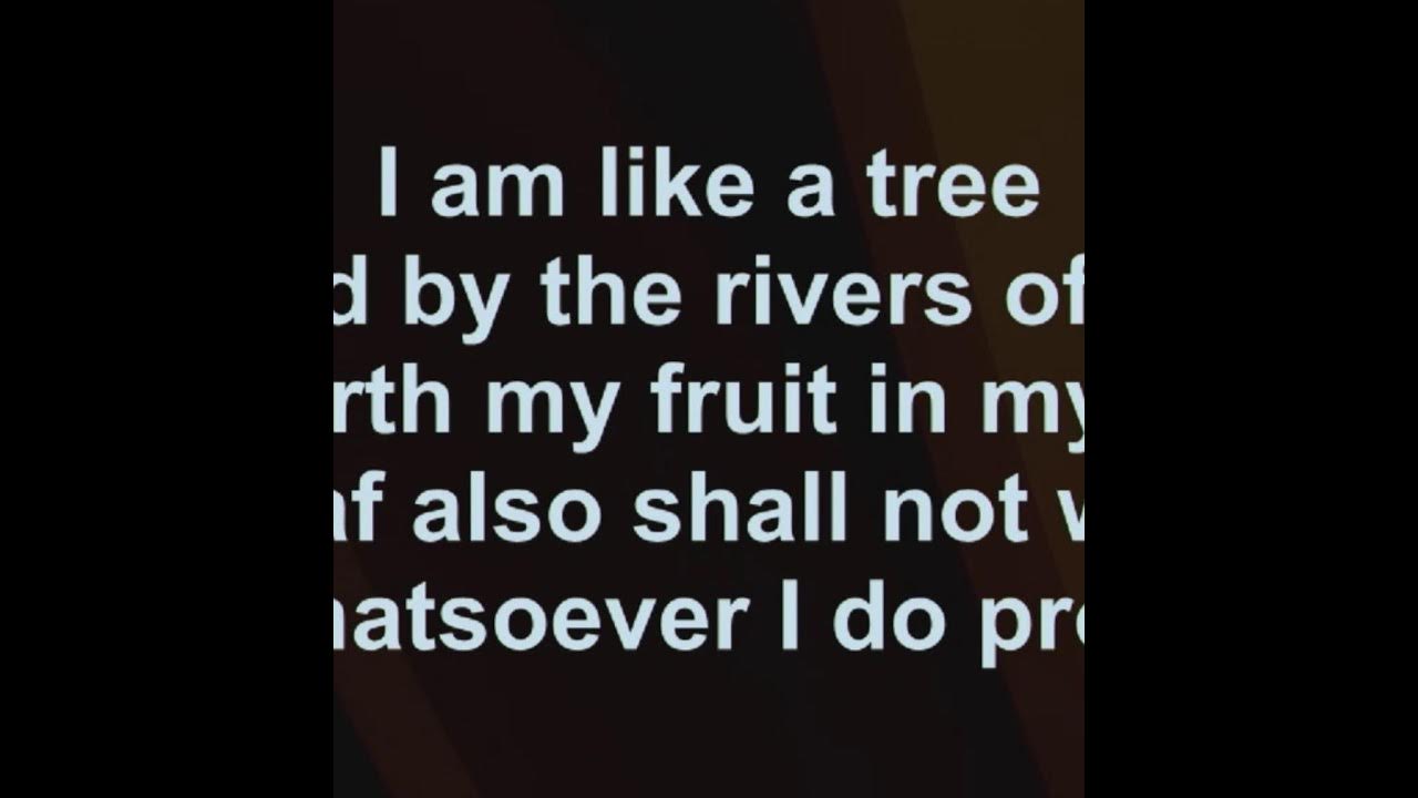 Appreciation Service | 5th Service | Sunday, 15th December, 2024 | The Elevation Church ...