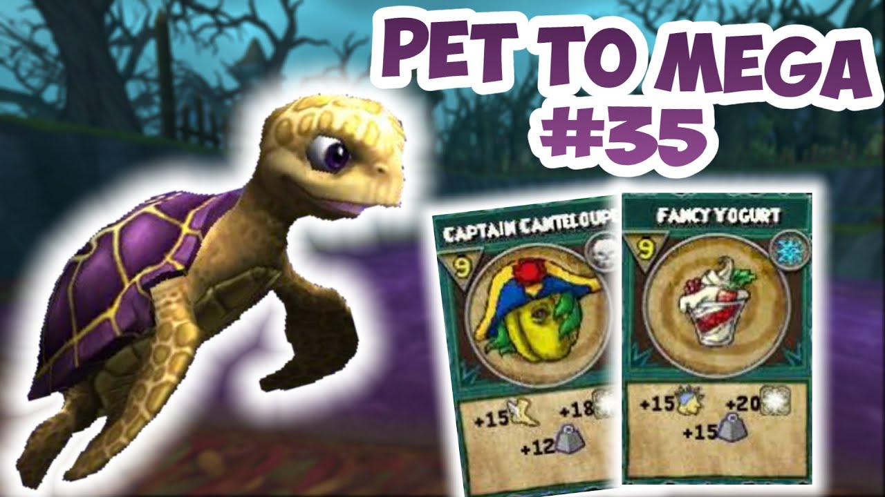 Wizard101: Pet to Mega #35 - YouTube