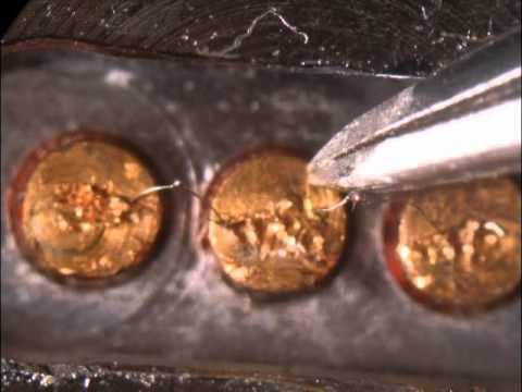 Stem Psychrometer: SP13 Adjustment - YouTube