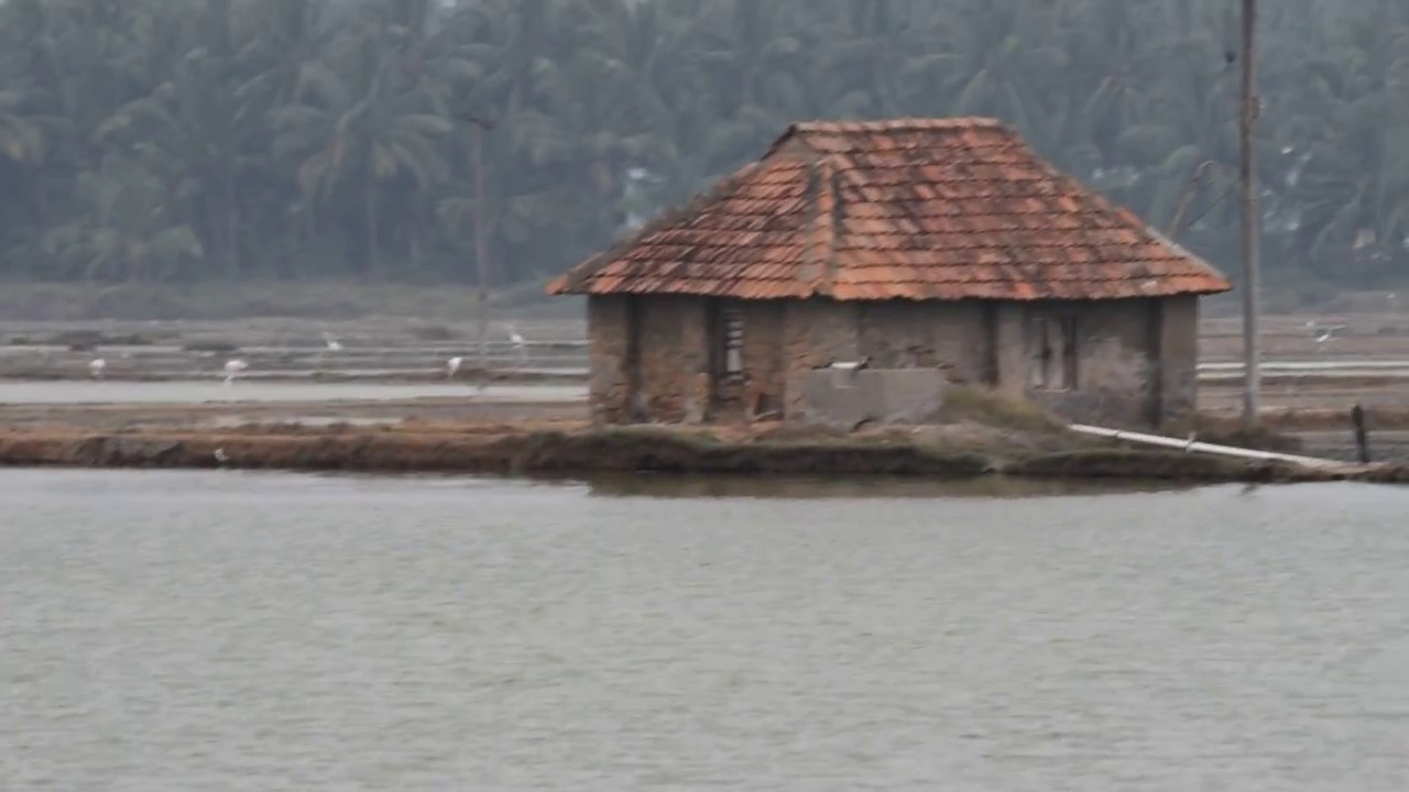 Puthalam Bird watching kanyakumari/കന്യാകുമാരി-TamilNadu - YouTube