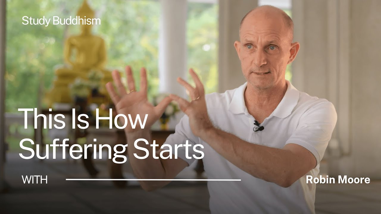 Why You’re Reborn Moment to Moment — Not Just Life to Life | Robin ...