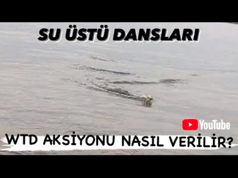 Su Üstü WTD Aksiyon Detayları
