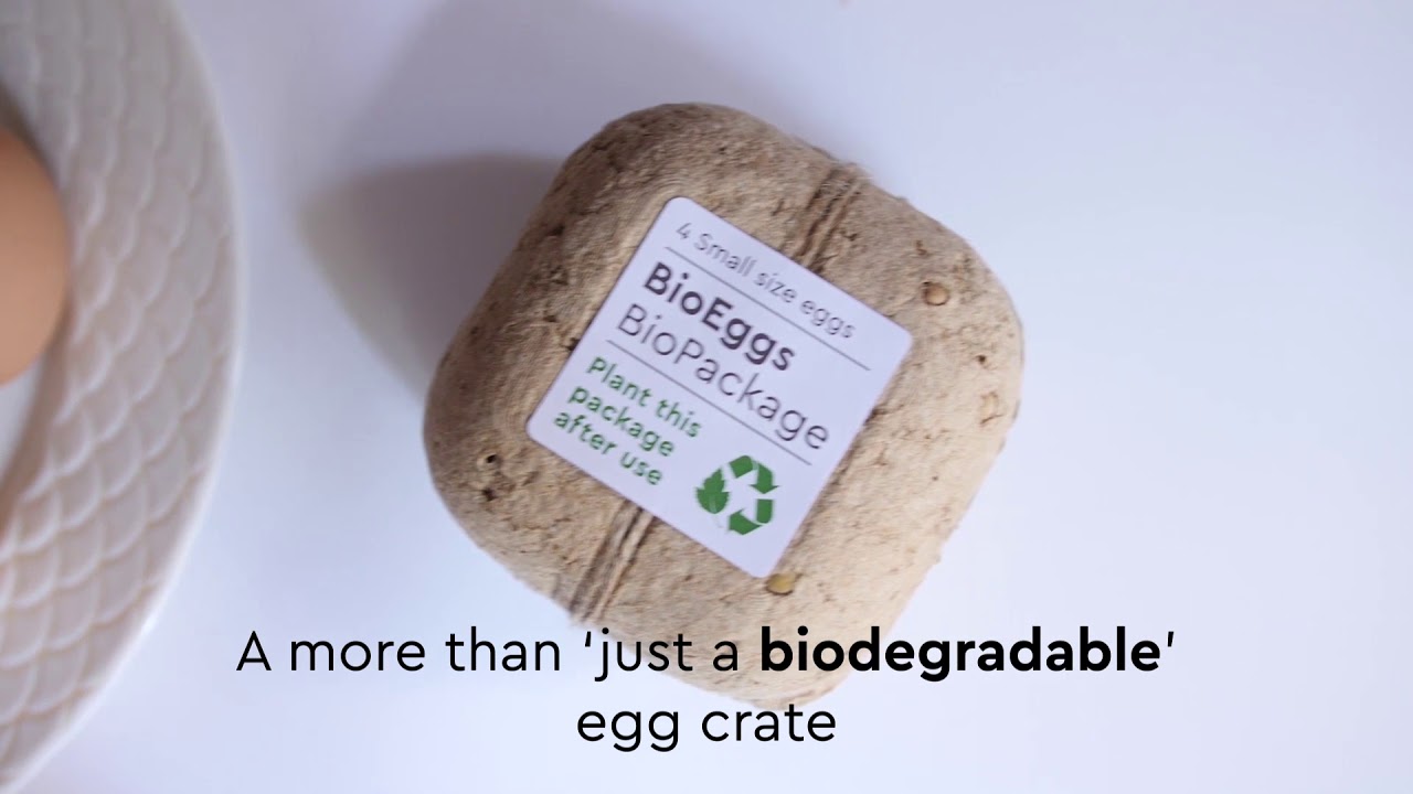 Biodegrapak, a "more than just biodegradable" egg crate. - YouTube